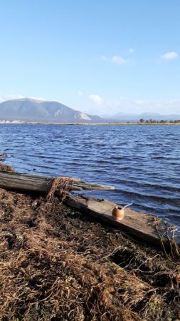 Tolhuin, un pueblito mágico en Tierra del Fuego - Matecito Viajero 🌎