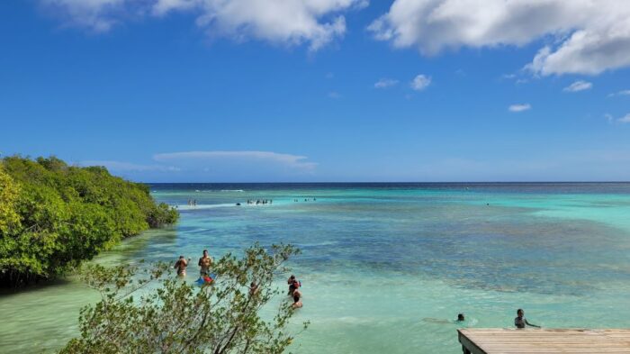 Qué hacer en ARUBA 🌊 15 planes imperdibles en la Isla Feliz