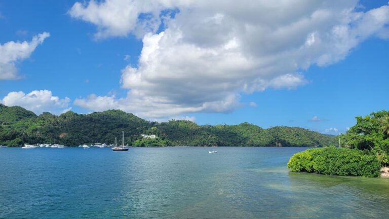 Qué hacer en Santa Bárbara de Samaná - Matecito Viajero 🌎